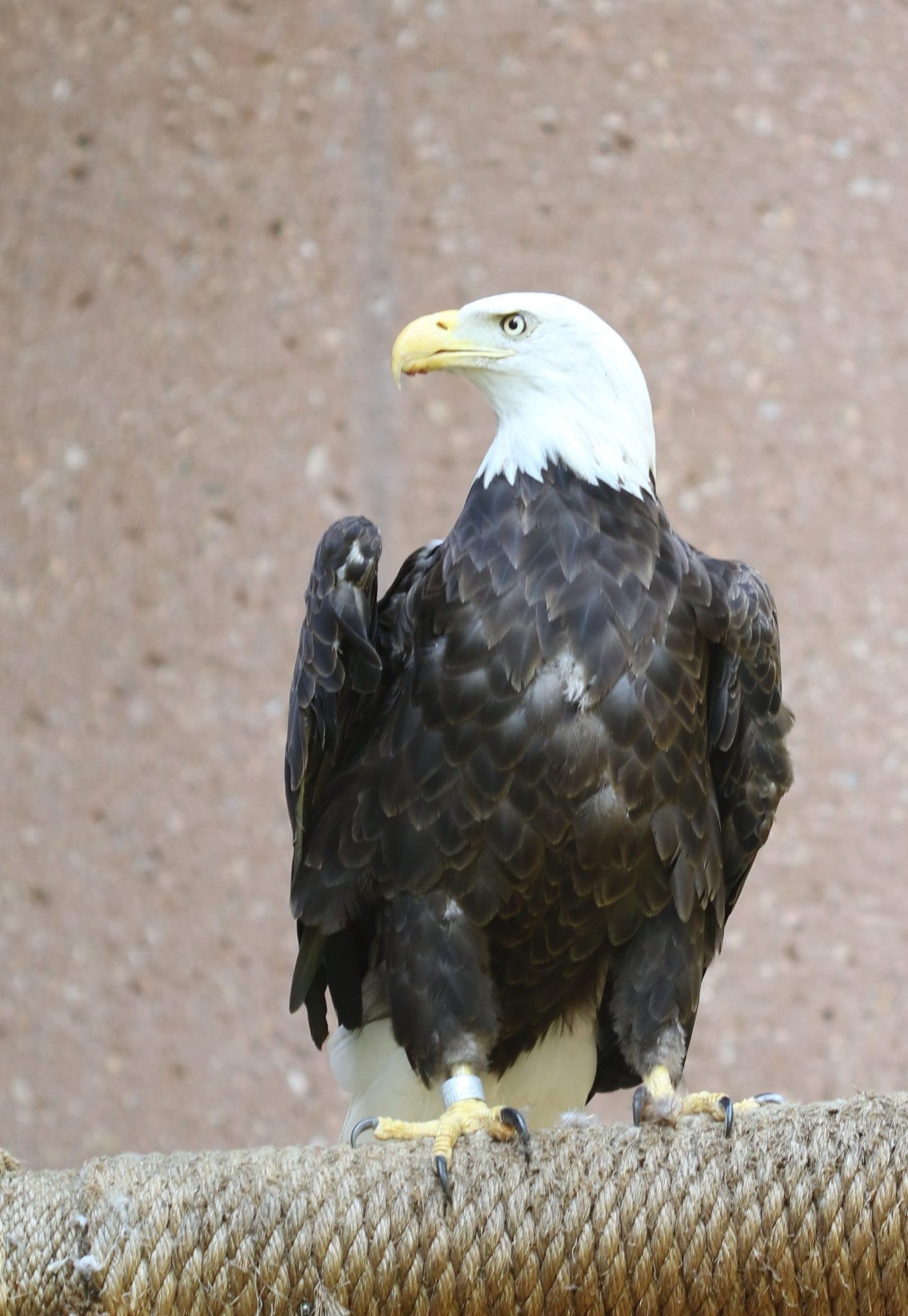 Who We Are - Lakeside Nature Center