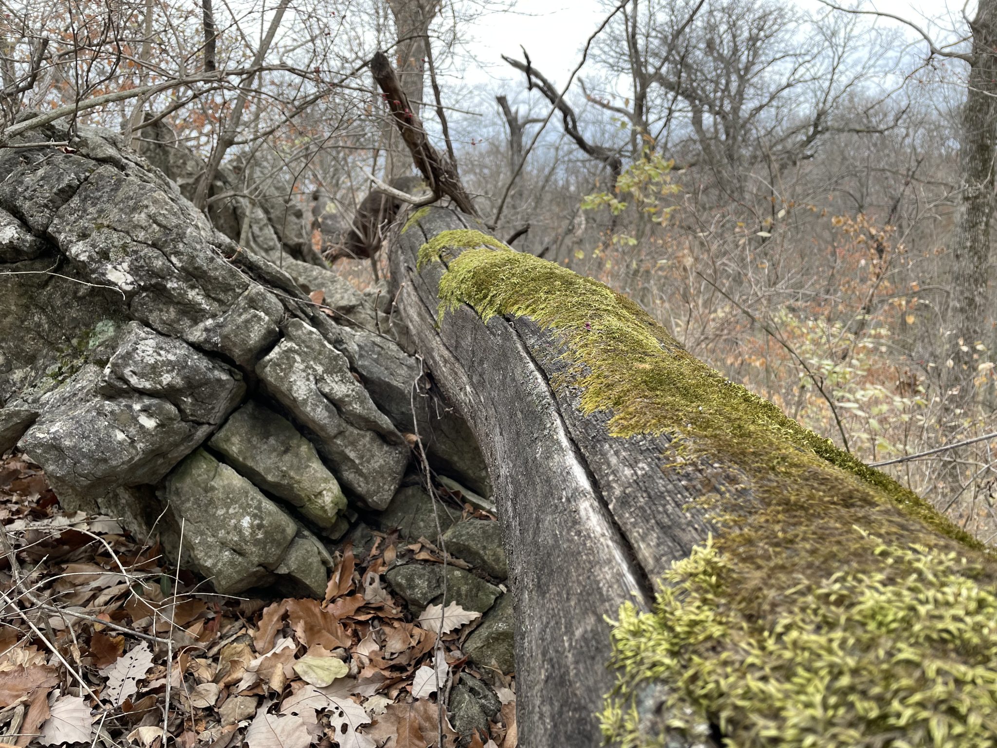 Habitats - Lakeside Nature Center