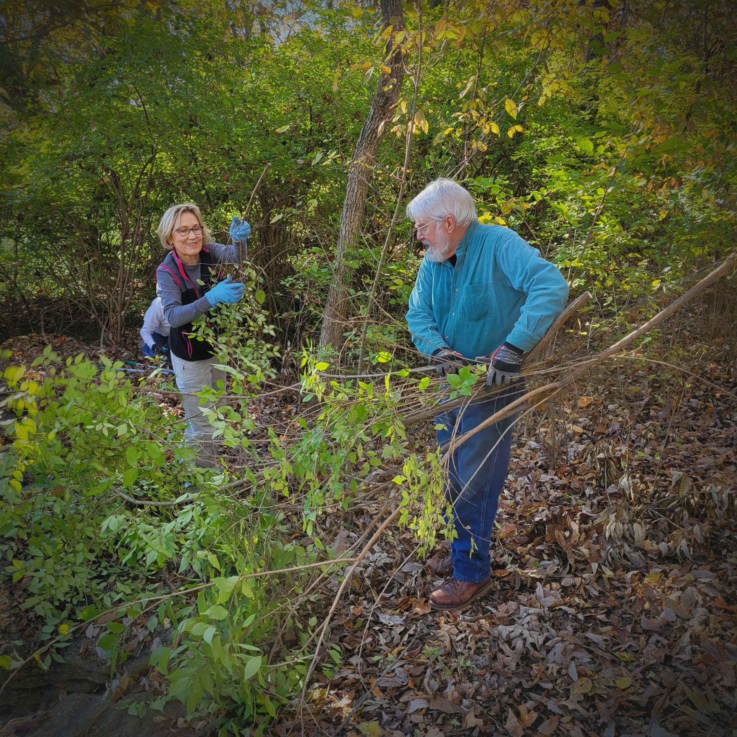 Home - Lakeside Nature Center