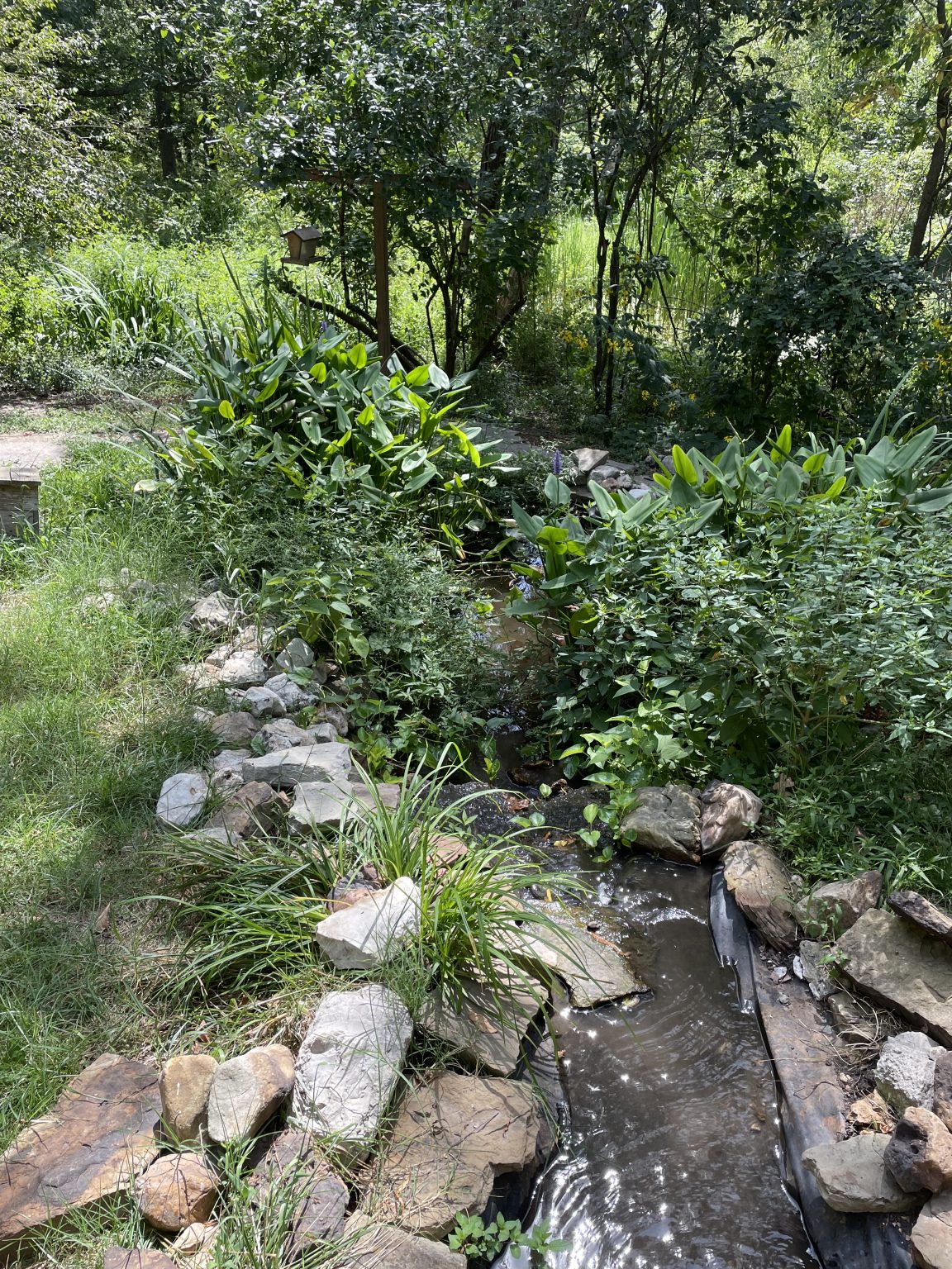 Habitats - Lakeside Nature Center