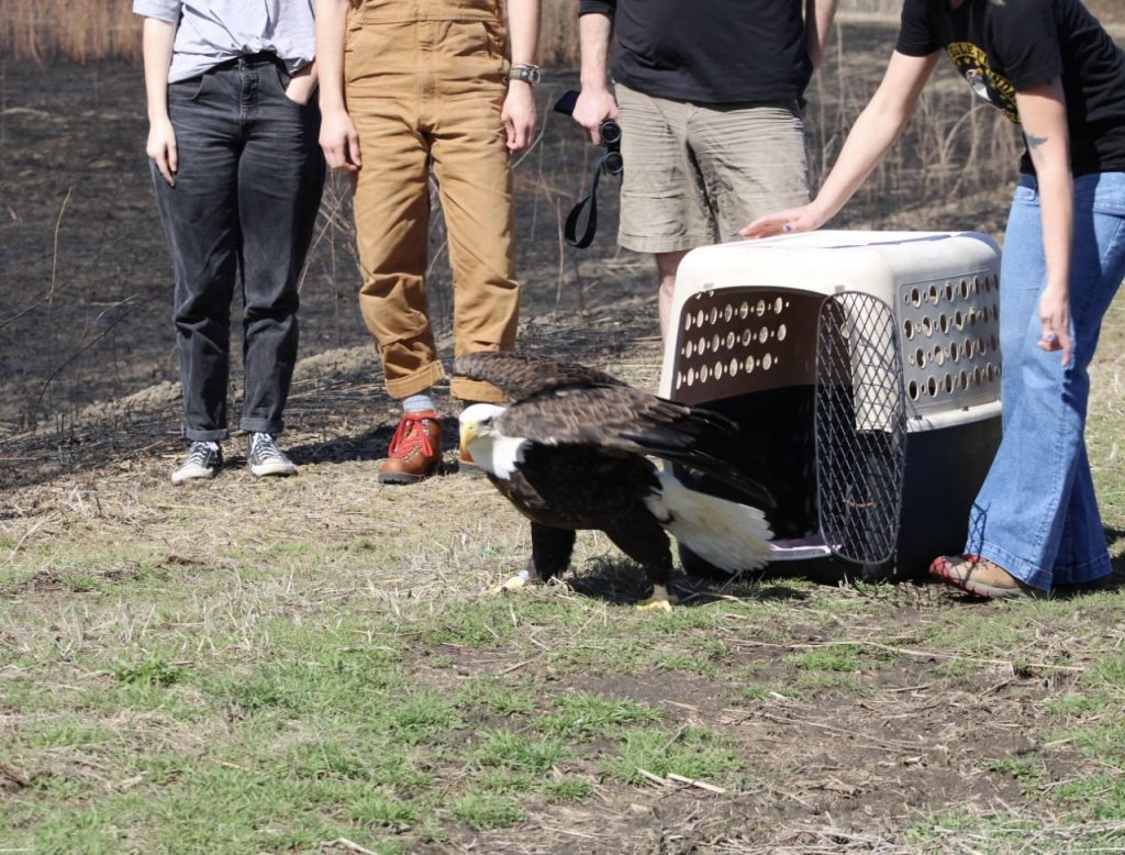 Wildlife Assistance - Lakeside Nature Center