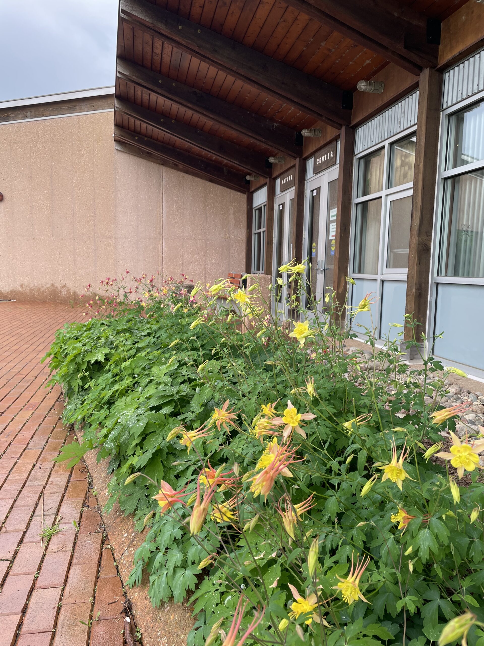Native Shade Garden - Lakeside Nature Center